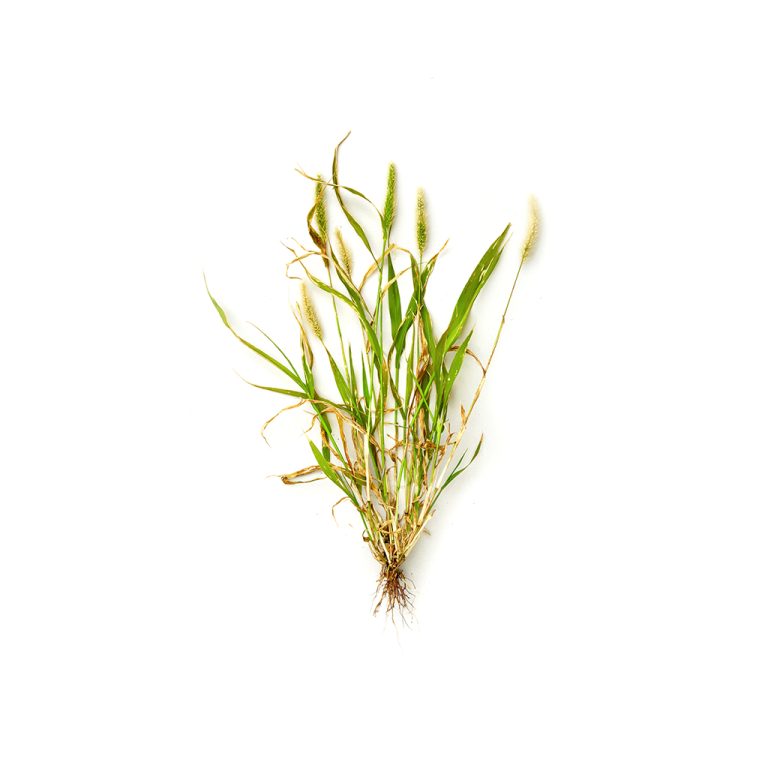 代替屋｜柴田祐輔＋Token Art Center